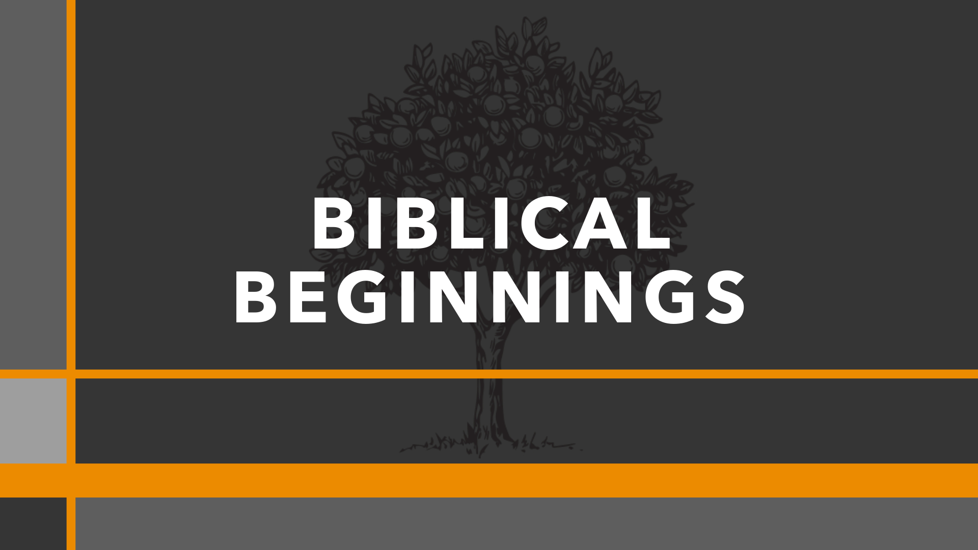 Biblical Beginnings - The Grove Bible Chapel